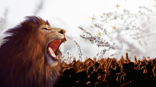 Retour en image | Une fin d’année animée ! – Centre culturel de Vitry – CCV